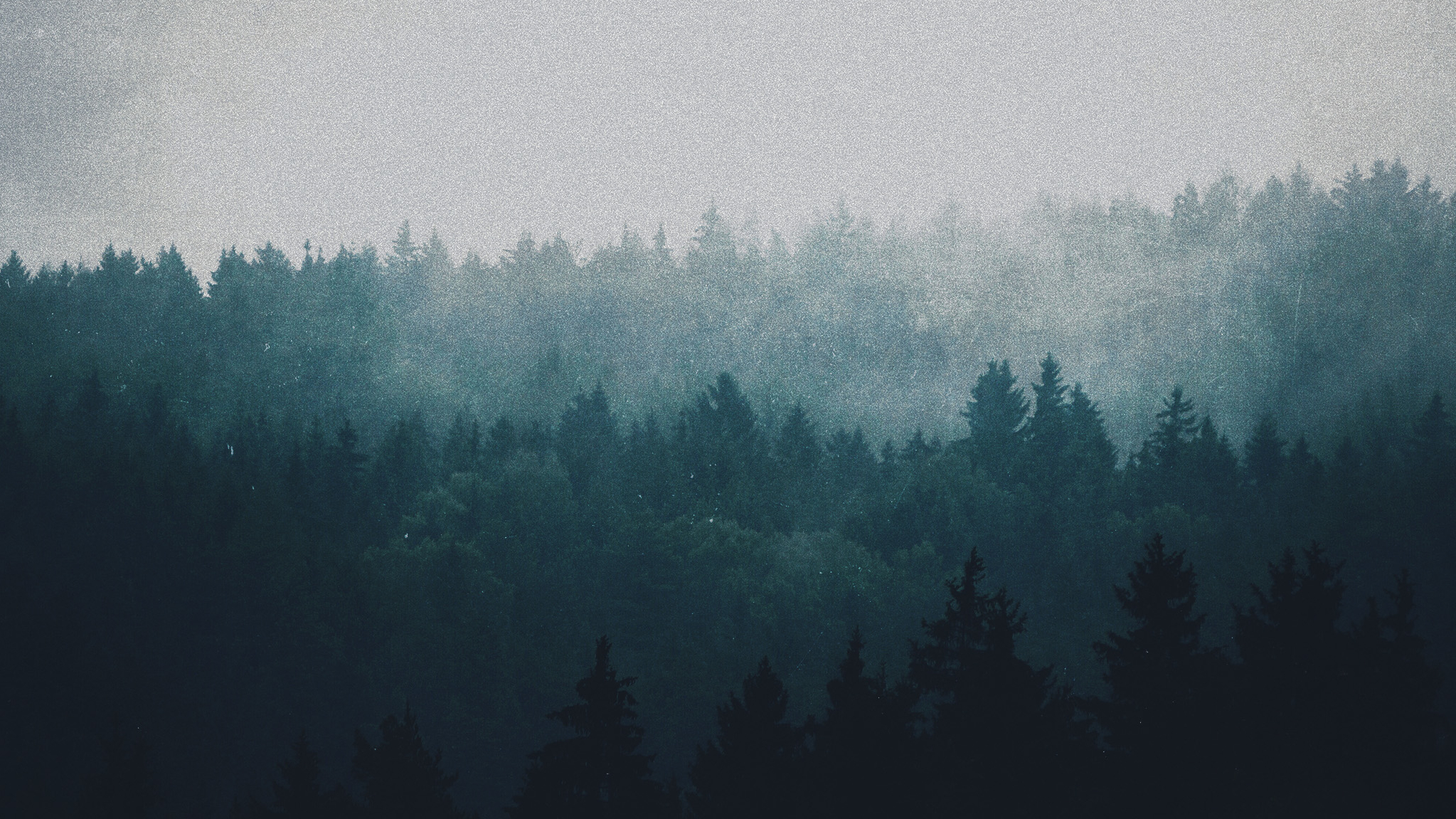 Dead Silent - Discovery UK