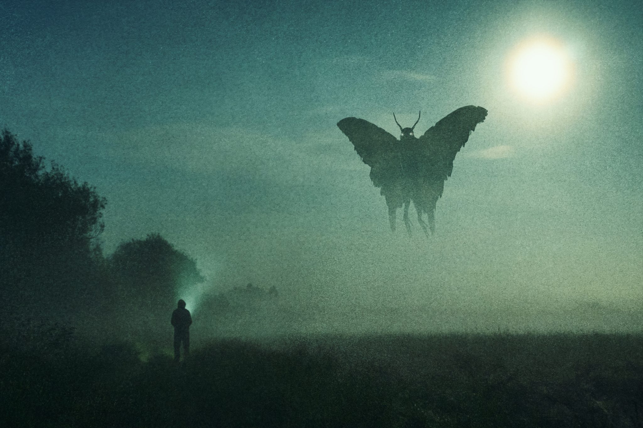 The Point Pleasant Mothman: Myth or Reality? - Discovery UK