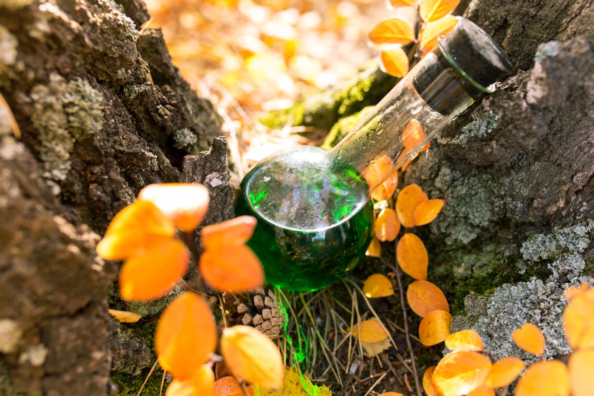 The Quest for the Elixir of Life: A Tale of Immortality - Discovery UK