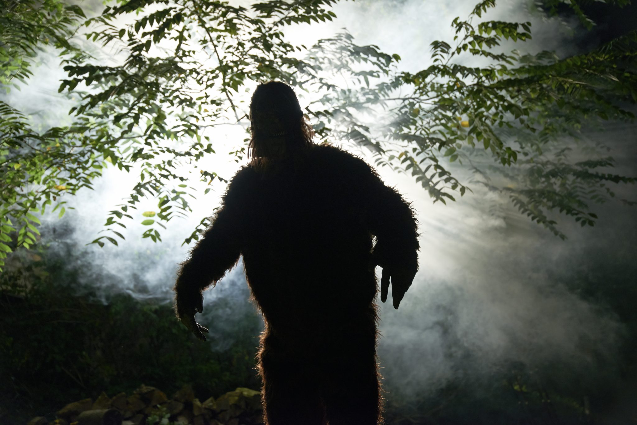 Mapinguari: Legend of the Amazonian Giant - Discovery UK