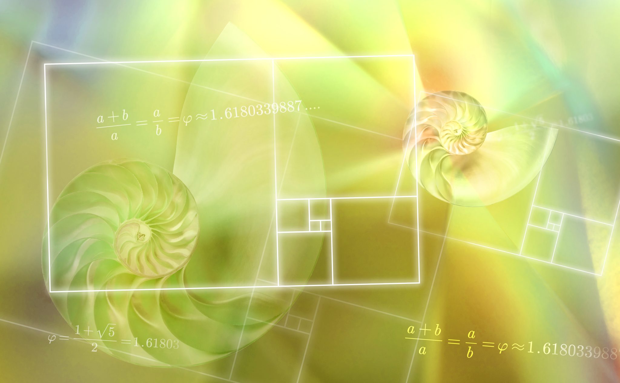 The Marvel of the Golden Ratio in Nature - Discovery UK