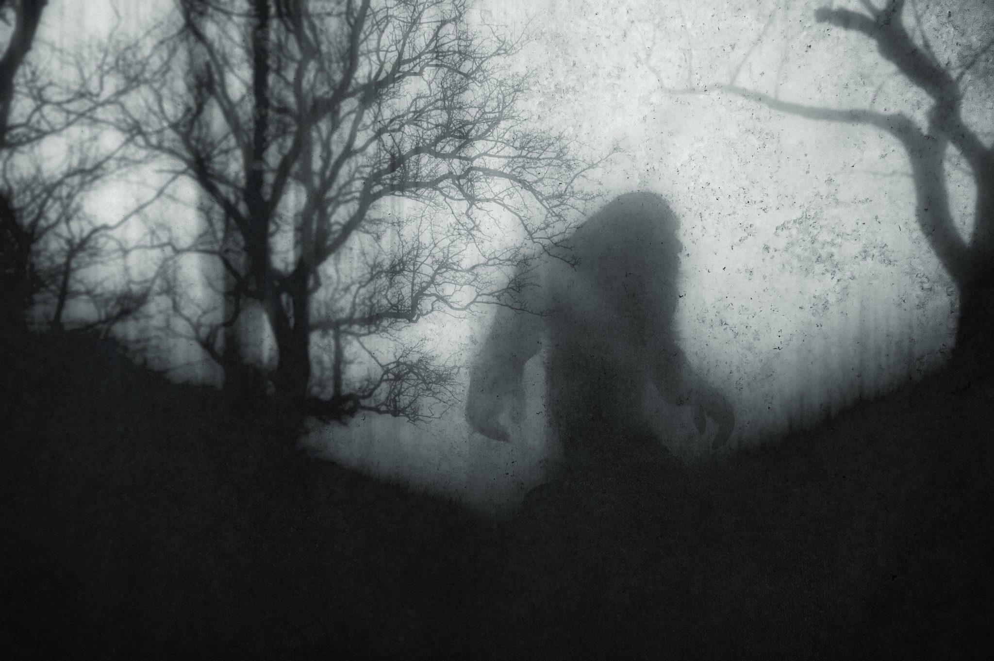The Braxton County Monster: A Mysterious Encounter - Discovery UK