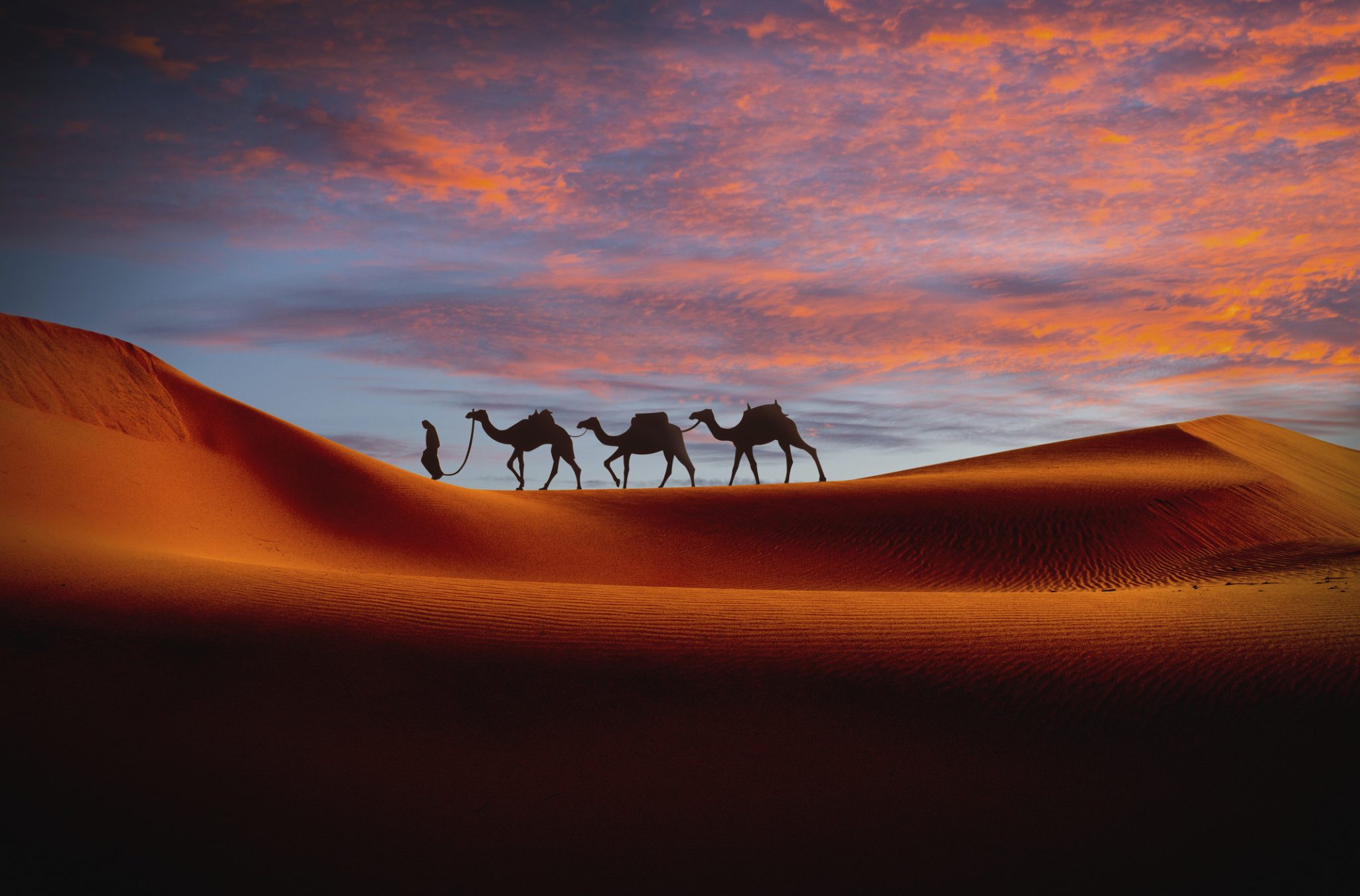 Shifting Dunes: Tracking the Atlantis of the Sands - Discovery UK