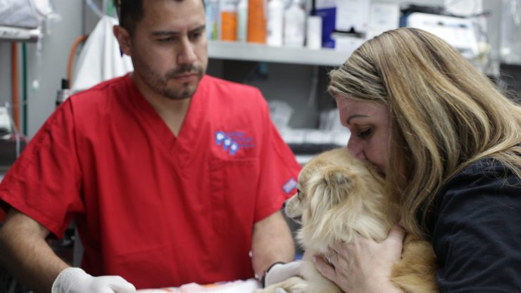 Dr. Jeff: Rocky Mountain Vet - Discovery UK